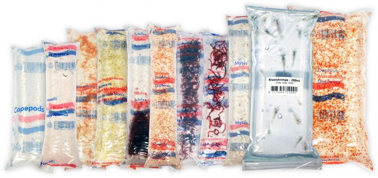 Live fish food Archives - AQUADIP